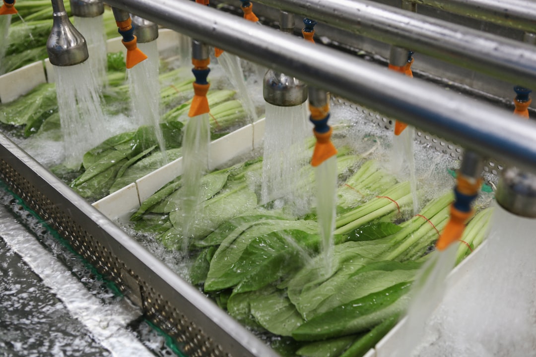 An Overview of Conveyor Washing Systems: What You Need to Know